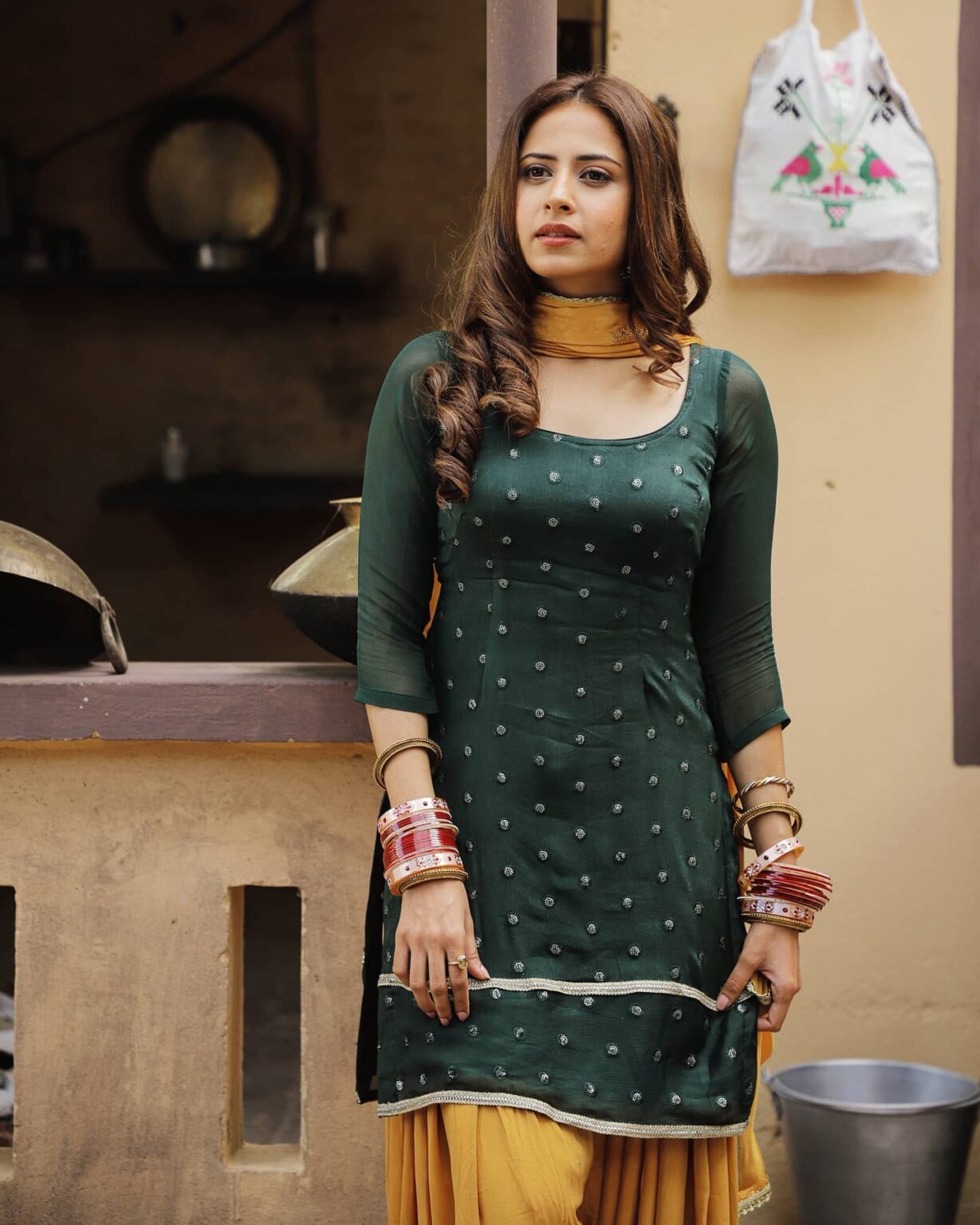 Sargun Mehta Age, Husband, Biography, Movies Sargun Mehta Age, Husband, Biography, Movies